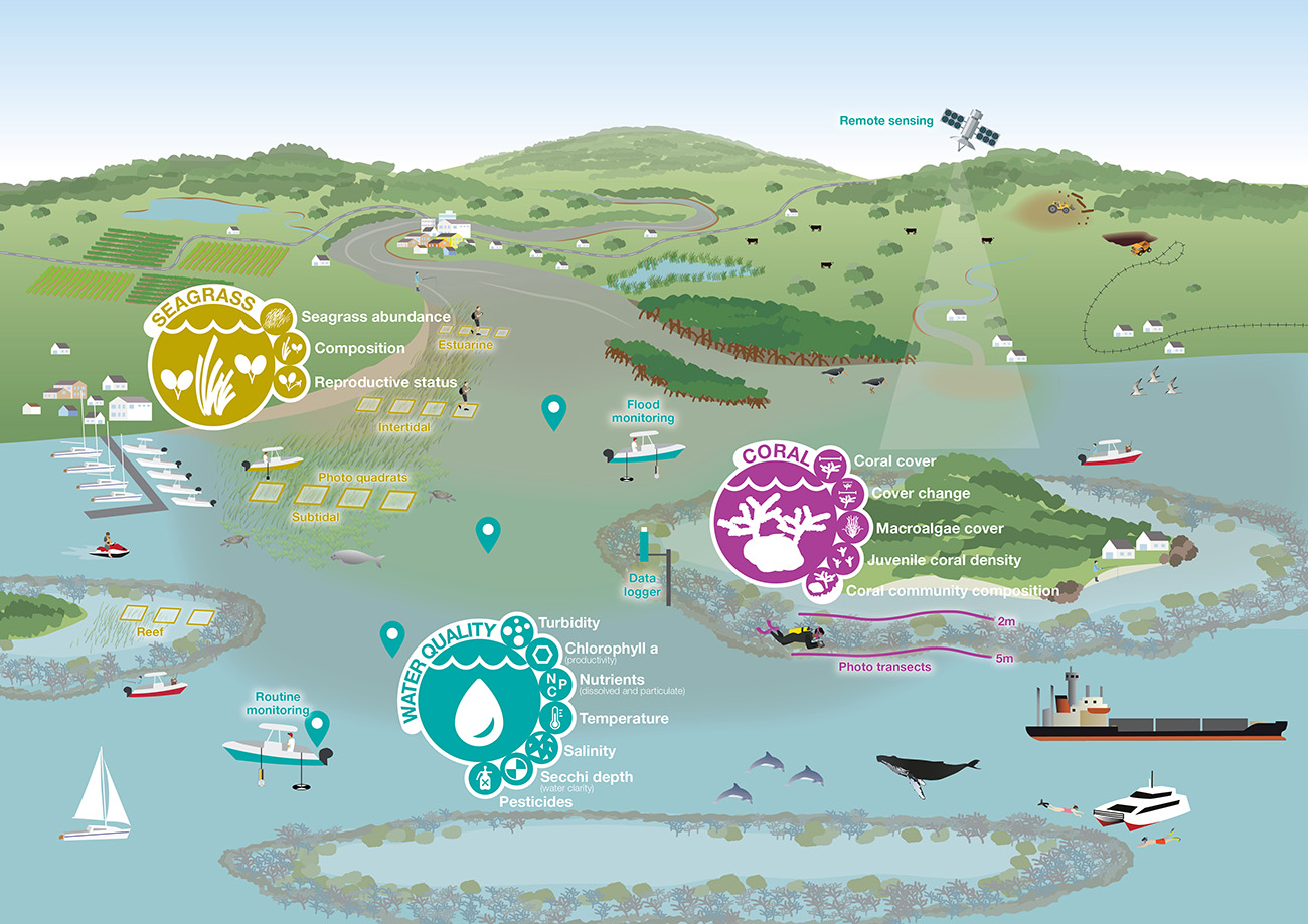 Marine Monitoring Program | Reef Authority